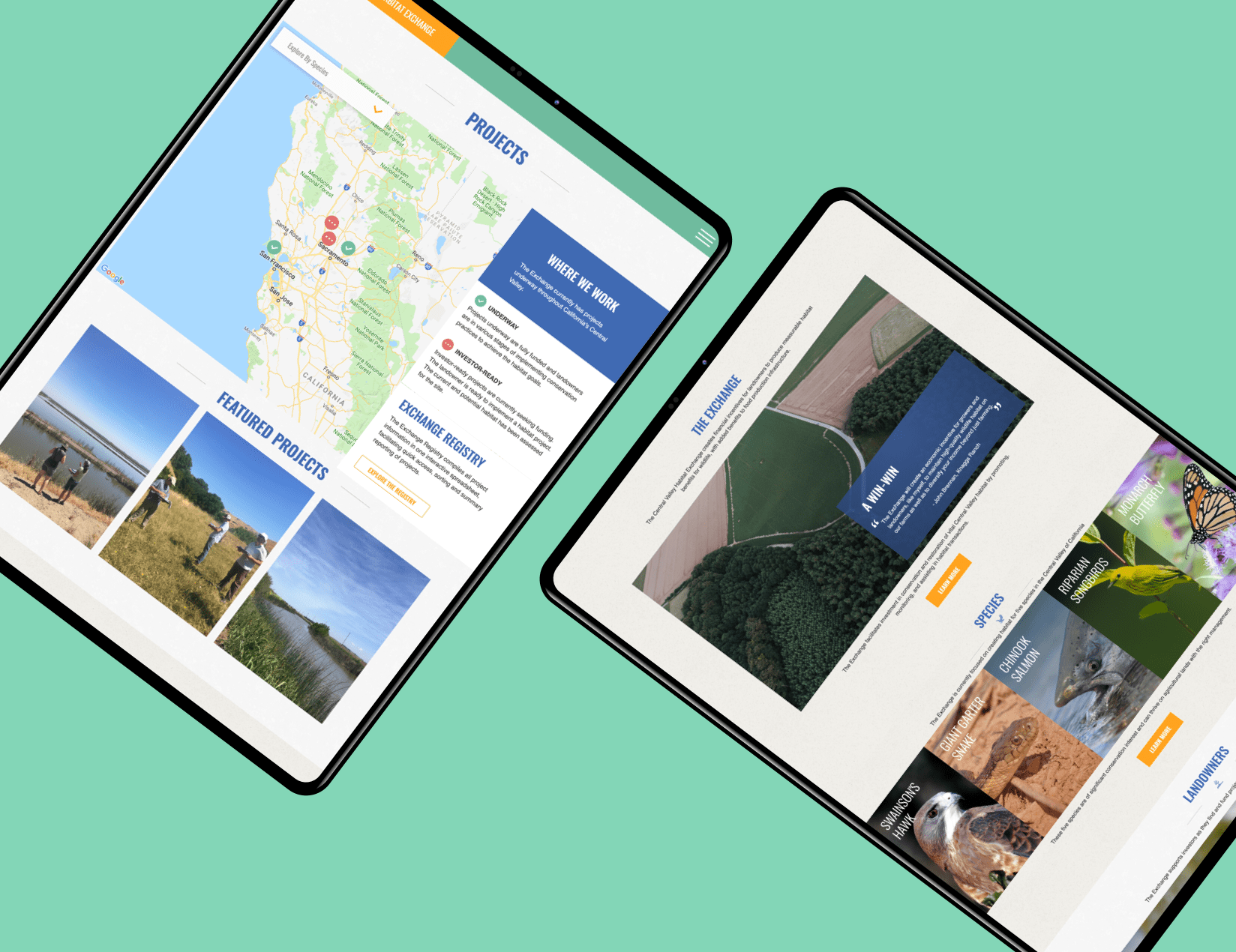 Environmental Defense Fund - Digital Platform Case Study | Insomniac Design